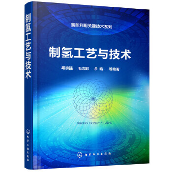 氢能利用关键技术系列--制氢工艺与技术