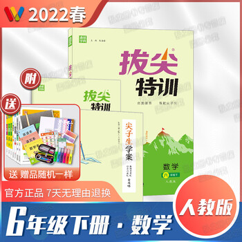 2022春通城学典小学拔尖特训六年级下册数学人教版6年级教材同步配套练习册实验班提优训练学霸作业本尖