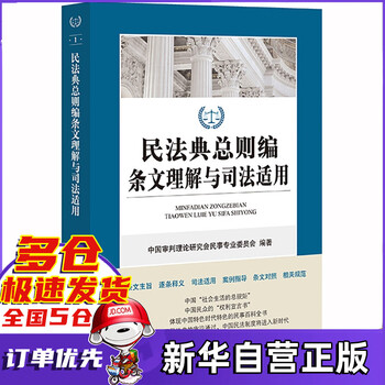 民法典总则编条文理解与司法适用