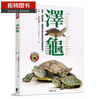 预售 泽龟 晨星