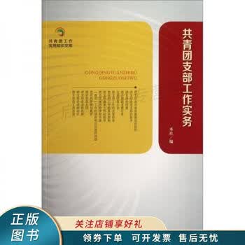 共青团支部工作实务