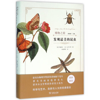 发现最美的昆虫(精)/博物之旅