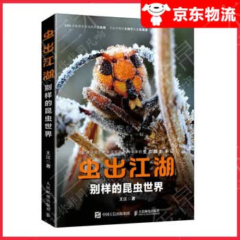 虫出江湖 别样的昆虫世界