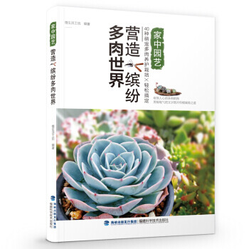 营造缤纷多肉世界