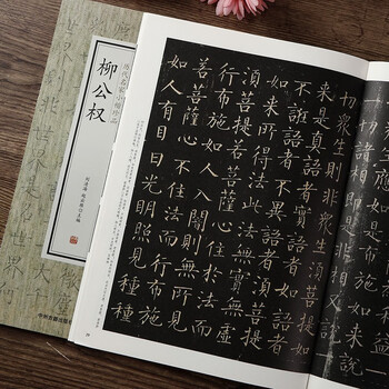 柳公权金刚经历代名家小楷珍品柳公权收录1幅帖金刚经柳公权书法集附释文中州古籍正版