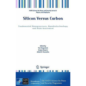 Silicon Versus Carbon: Fundamental Nanoprocesse