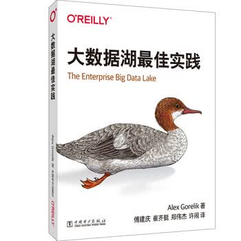 [正版图书]大数据湖~佳实践