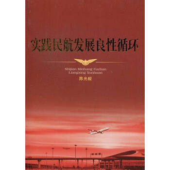 实践民航发展良性循环 陈光毅【正版图书】