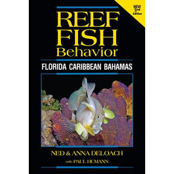 Reef Fish Behavior - Florida Caribbean Bahamas