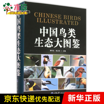 中国鸟类生态大图鉴(精)