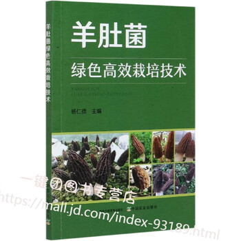羊肚菌绿色高效栽培技术 羊肚菌种植 羊肚菌大田栽培书食用菌栽培书籍 名贵珍稀菇菌种植书 羊肚菌栽培菌