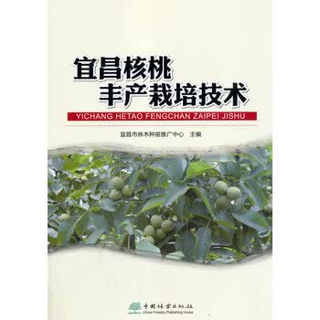 宜昌核桃丰产栽培技术
