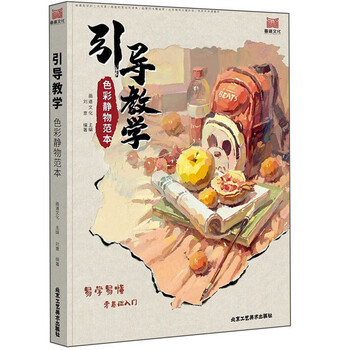 正版 引导数学.色彩静物范本9787514019582
