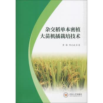 杂交稻单本密植大苗机插栽培技术