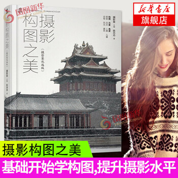 摄影构图之美 摄影的艺术一本入门基础教材书籍构图技巧大全人像静物风景布光用手机玩数码单反后期纽约技术
