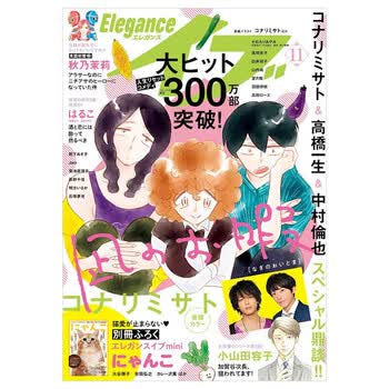 【包邮】订阅エレガンスイブ 动漫插画杂志 日本日文原版 年订12期原版