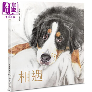 相遇 港台原版 吴家慧 新锐文创 画册/绘画集