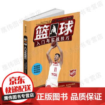 篮球入门与实战技巧