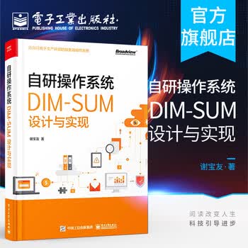 自研操作系统：DIM-SUM设计与实现