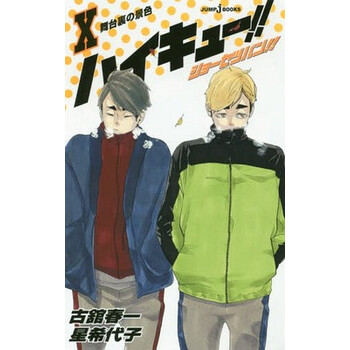 小说 排球少年10 ハイキュー！！ショーセツバン！！ １０ 古舘春一 星希代子 著 日本进口漫画周边