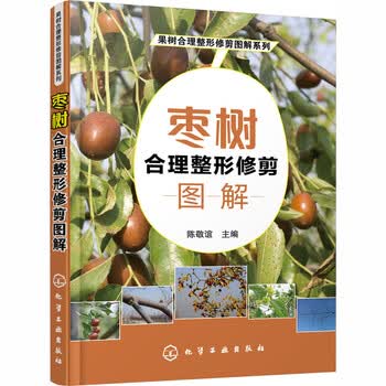 枣树合理整形修剪图解