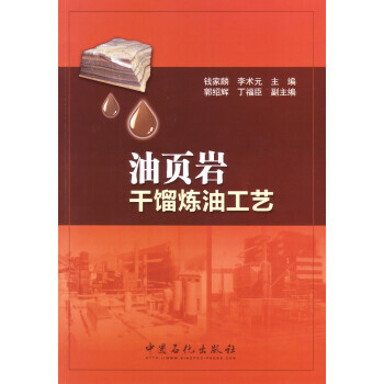 油页岩干馏炼油工艺 钱家麟,李术元 9787511425423 中国石化出版社