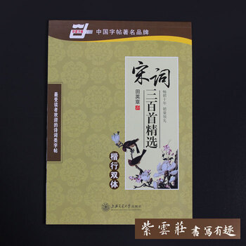 田英章钢笔楷书练字帖成年楷书大小学生行楷行书正楷体临摹 词楷行双体