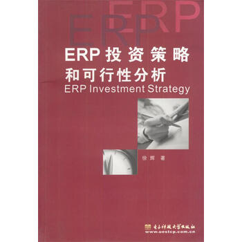 ERP投资策略和可行性分析 徐辉