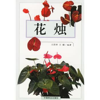 花烛