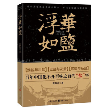 浮华如盐 历史小说