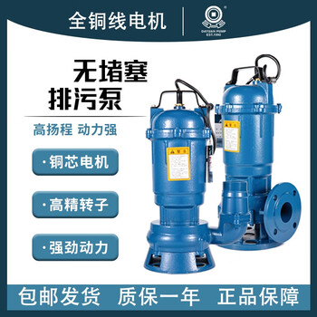 大元WQD系列无堵塞污水泵家用小型排污泵化粪池清污泵220V潜水泵 WQ15-10-1.1(2.5寸）380v【图片 价格 品牌 报价】-京东