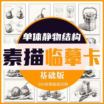 素描单体静物结构临摹卡 基础版 临摹范本单个体结构与明暗静物组合精选绘画创意卡片初学者入门美术教程材书籍一线美誉