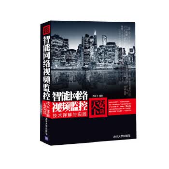 安防天下 西刹子著【正版书】