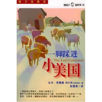 一脚踩进小美国 [美]比尔·布赖森