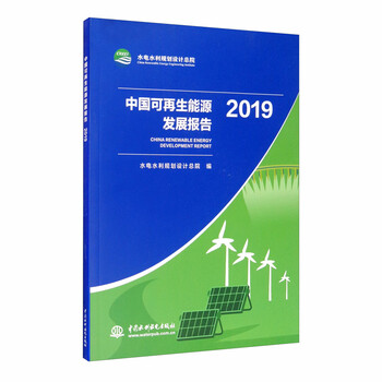 中国可再生能源发展报告2019