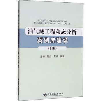 油气藏工程动态分析案例库建设(1册)