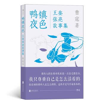 鸭镇夜色：王奎张亮故事集