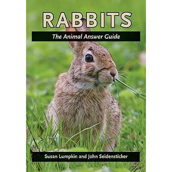 Rabbits