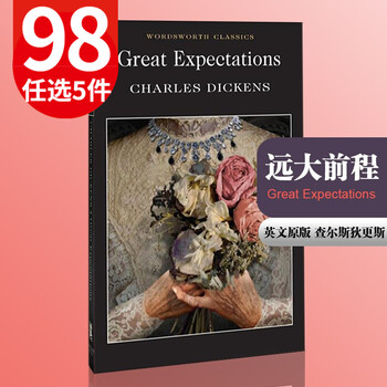 远大前程 伟大前程 英文原版小说 Great Expectations 孤星血泪 世界经典名著小说 狄更斯经典名著 双城记 作者