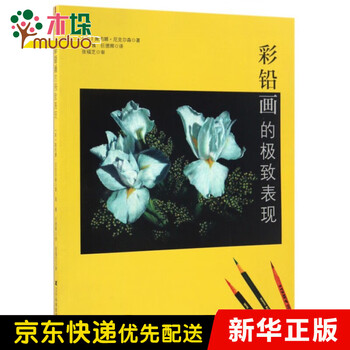 彩铅画的极致表现