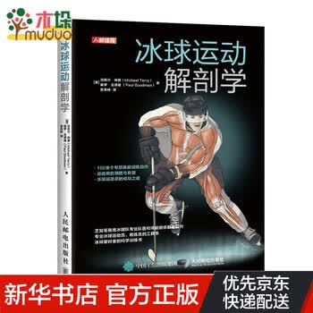 冰球运动解剖学