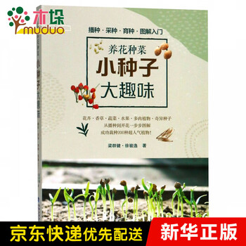 养花种菜小种子大趣味