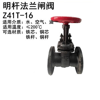 Z41T-10/16明杆法兰闸阀铸铁铜芯闸阀HT200DN40 50 65 80 100 125 铜芯 DN40【图片 价格 品牌 报价】-京东