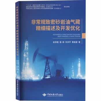 非常规致密砂岩油气藏精细描述及开发优化