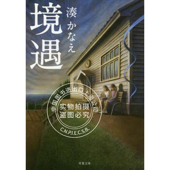 小说 凑佳苗 境遇 境遇 进口日文