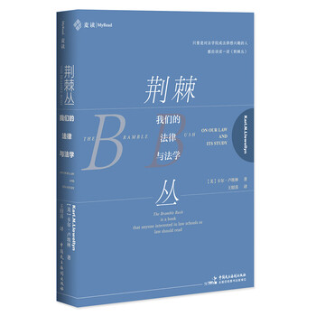 麦读法律12：刑法注释书（第2版）何帆 麦读 荆棘丛