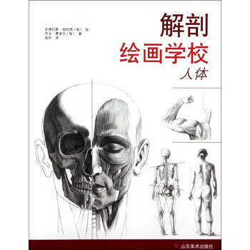 解剖绘画学校(人体)