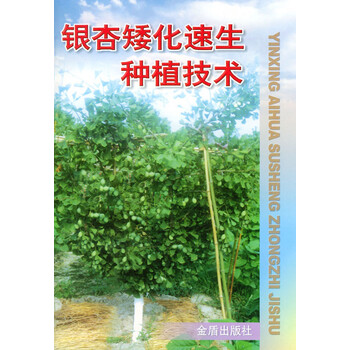 银杏矮化速生种植技术 9787508215877【可开发票】