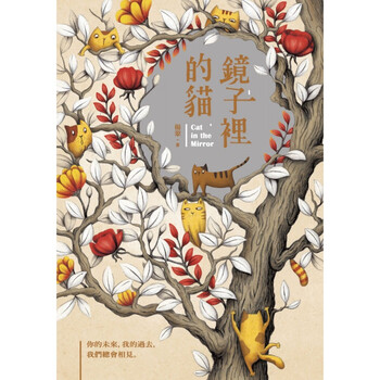 台版 镜子里的猫 趣味插画绘本魔幻冒险童话故事儿童文学