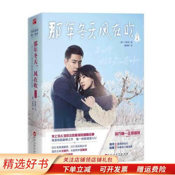 那年冬天风在吹